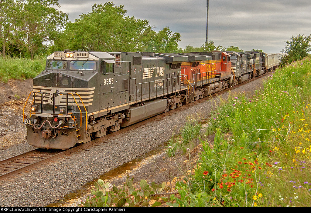 NS 9555 Leads Q-SAGKCK1-19
